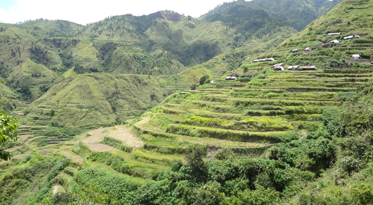 The Sounds of Buscalan - The Weekend Dispatch